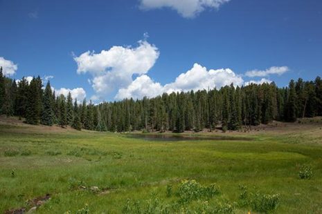 Fishing & Hunting - Greenlee Arizona Tourism