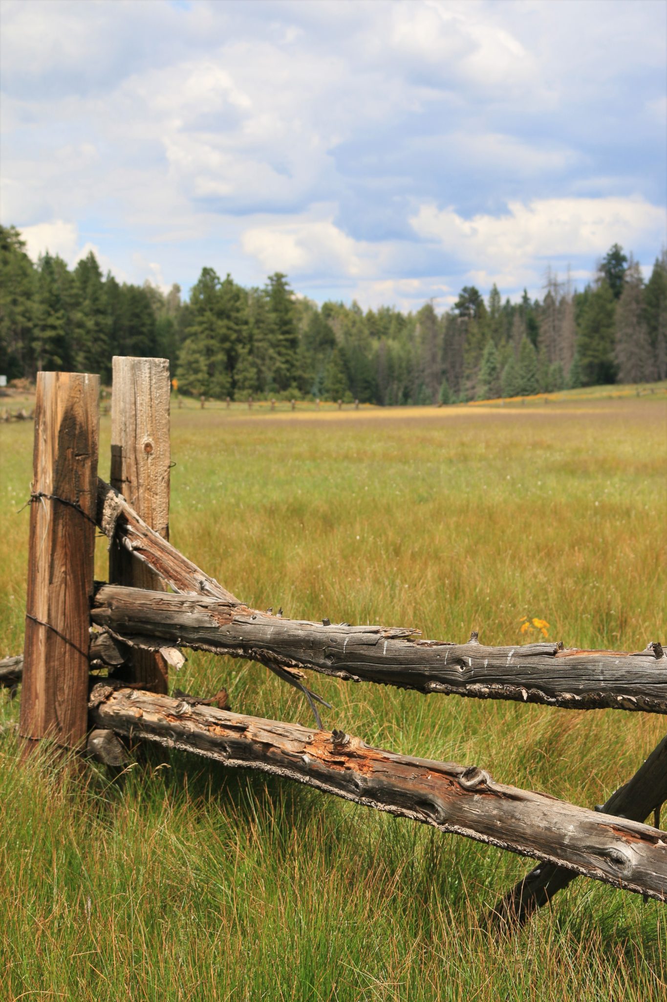 Coronado Trail National Scenic Byway - Greenlee Arizona Tourism