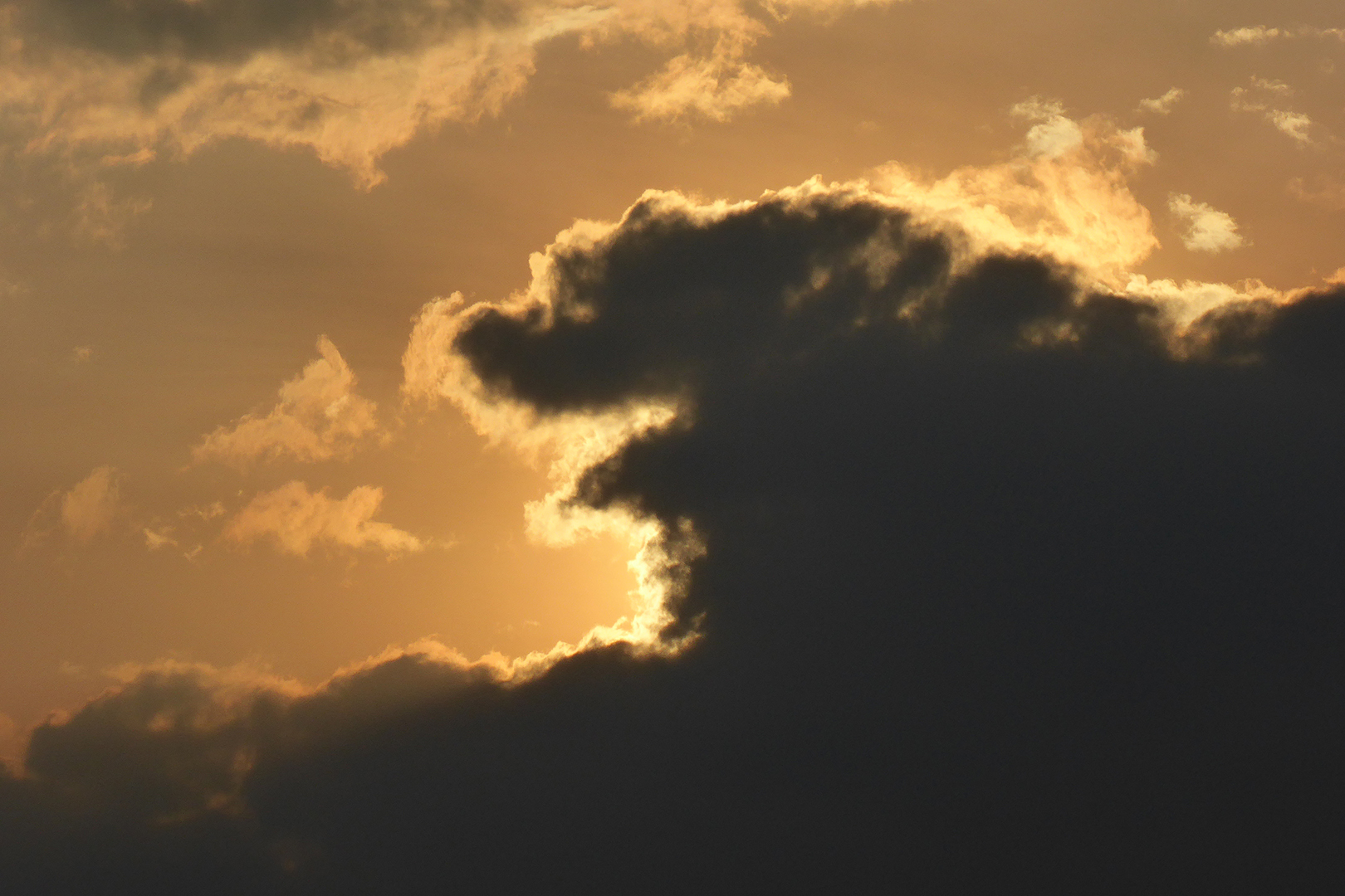 Pareidolia: Look Up! What Do You See? - Greenlee Arizona Tourism