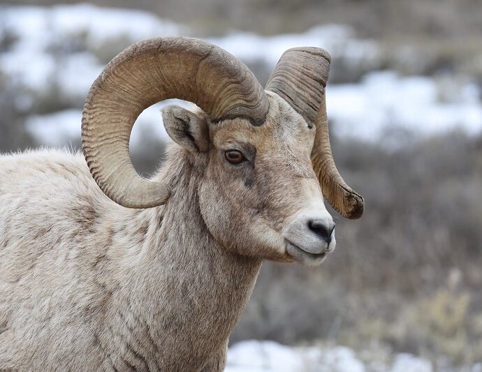 Greenlee Arizona Tourism - A tourism guide for Greenlee County, Arizona